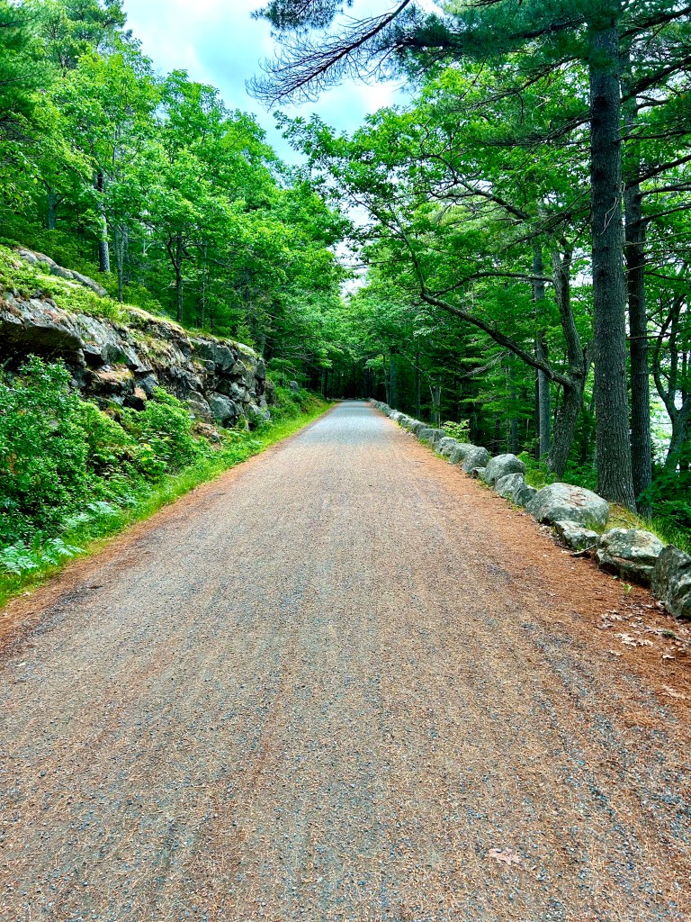 Biking the Carriage Roads Acadia: Tips, Map & Best Routes