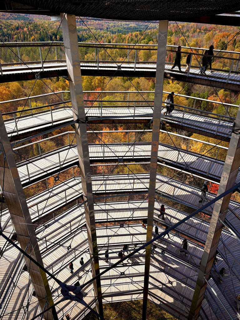 Treetop Walk in Quebec: A Fall Adventure Above the Forest